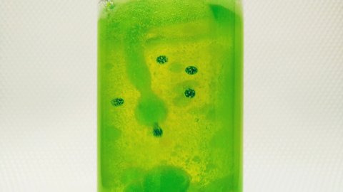 Lava Lamp Effect Chemical Experiment Movement Stock Footage Video (100% ...