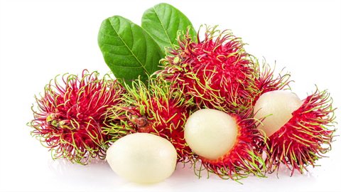 Rotten Rambutan Isolated On White Background Stock Photo 657254809 ...