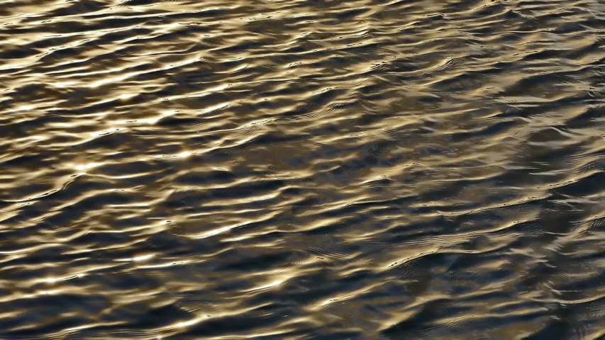 Calm Water Ripples in the Stock Footage Video (100% Royalty-free ...