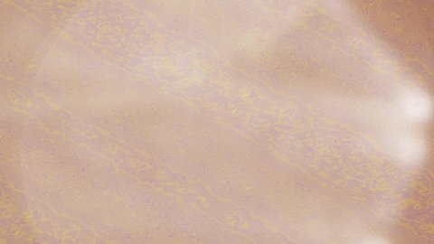 Hypertrophic Scars Cicatrix On Back Muscle Stock Photo (Edit Now ...