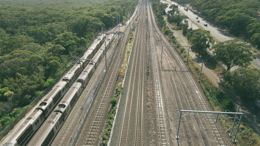 Railroad tracks with a corridor with trees image - Free stock photo ...