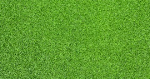 Top View Green Grass Stop Motion Stock Footage Video (100% Royalty-free ...