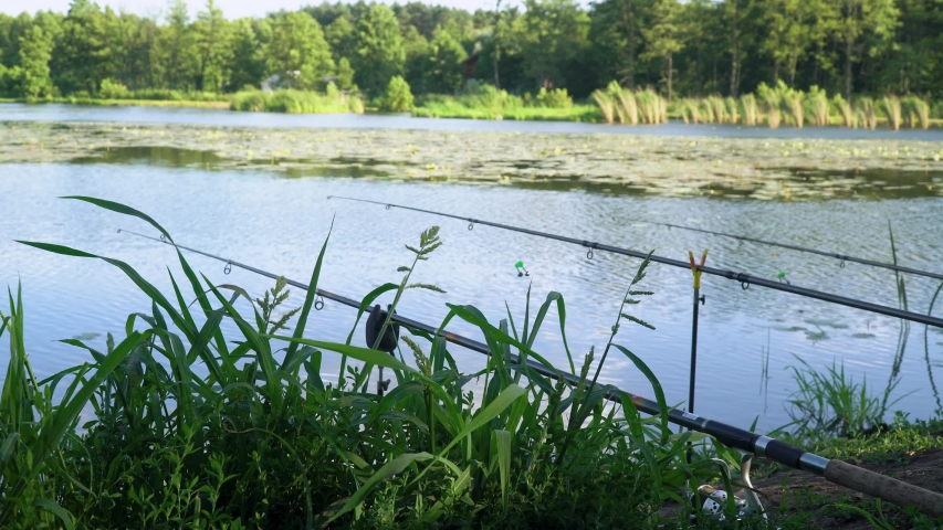 shore lake river pond ripples on Stock Footage Video (100% Royalty-free ...