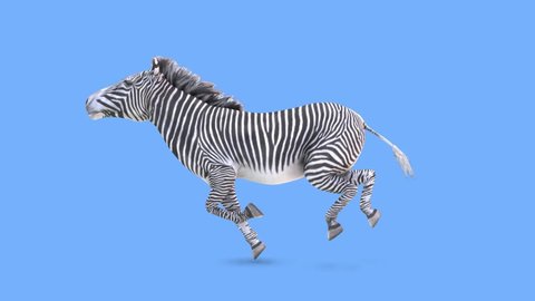 3d Cg Rendering Zebra Stock Footage Video (100% Royalty-free ...