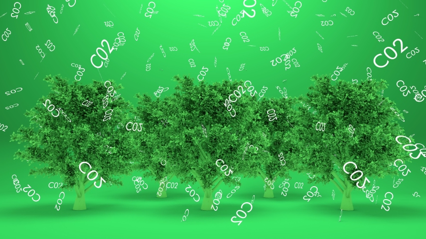 tree absorbs co2 absorb carbon dioxide Stock Footage Video (100% ... tree absorbs co2 absorb carbon dioxide Stock Footage Video (100% ...
