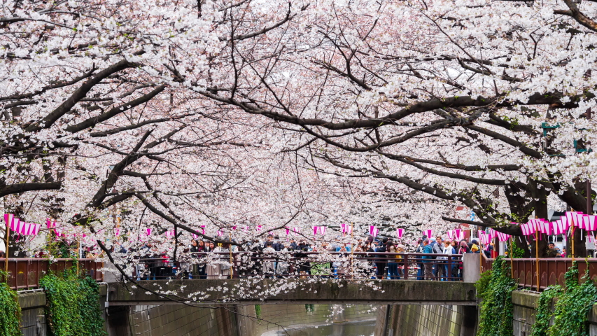 Tokyo, Japan - March 29, Stock Footage Video (100% Royalty-free ...