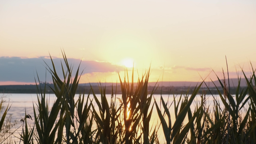Sunset landscape beyond the reeds image - Free stock photo - Public ...