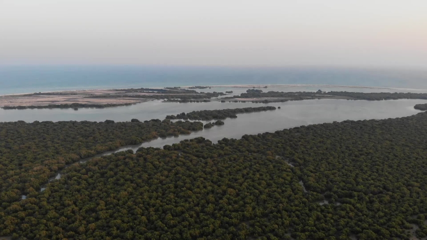 beautiful aerial view qatar mangrove forest Stock Footage Video (100% ...