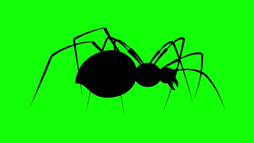 spider walking animation side view green Stock Footage Video (100% ...