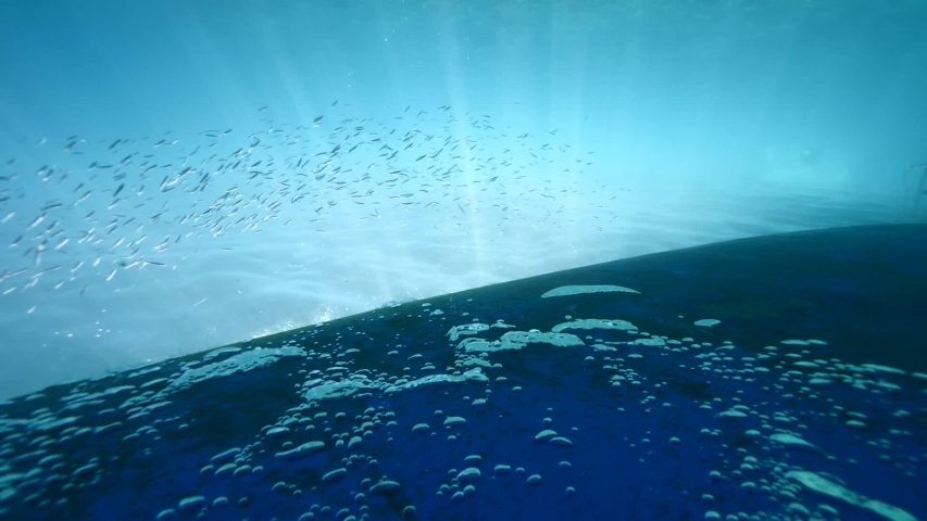 upside down filming bubbles underwater sliding Stock Footage Video (100 ...