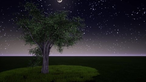 Beautiful Tree Loop Stock Footage Video (100% Royalty-free) 1037678534 ...