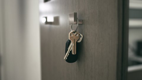 373 Grab Keys Stock Video Footage - 4K and HD Video Clips | Shutterstock