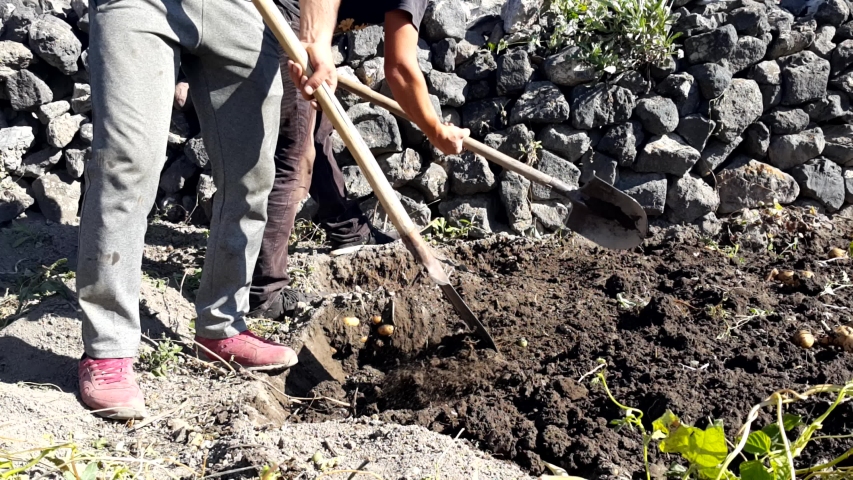 two men village digging shovels ground Stock Footage Video (100% ...