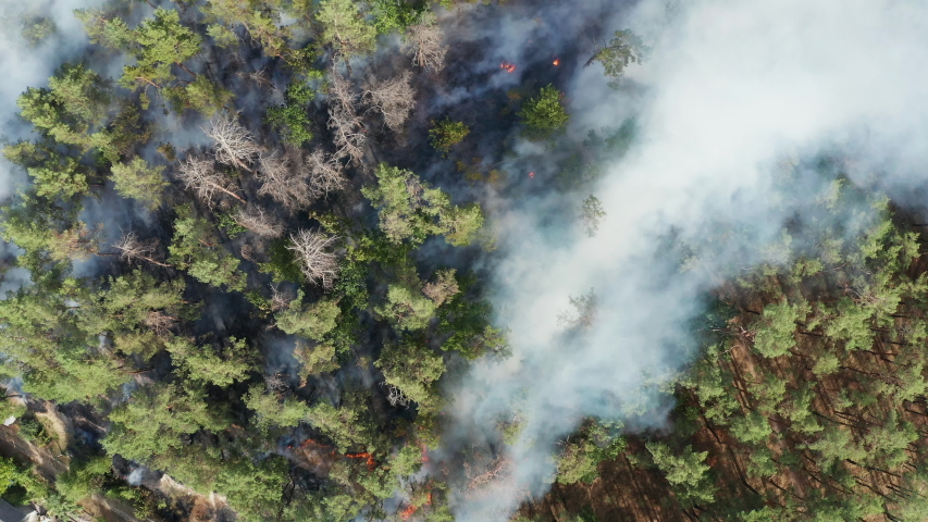 Aerial View of Wildfire in Stock Footage Video (100% Royalty-free ...