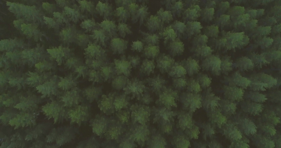 Loch Ness image - Free stock photo - Public Domain photo - CC0 Images