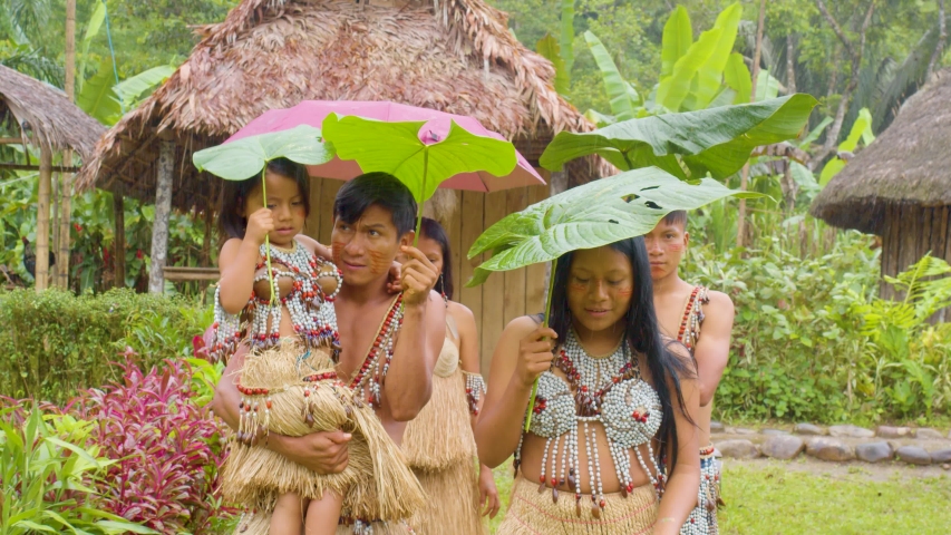 Group Indigenous People Umbrella Leaves Walking Stock Footage Video ...