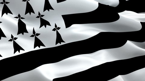 Breton symbol Stock Video Footage - 4K and HD Video Clips | Shutterstock