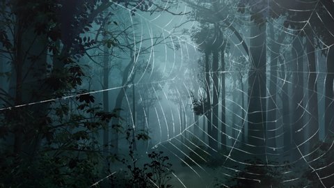 Spider Web Haunted Forest 4k Features Stock Footage Video (100% Royalty ...