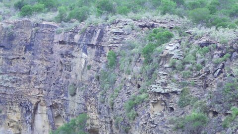Rock Cliff Forest On Top Caatinga Stock Footage Video (100% Royalty ...