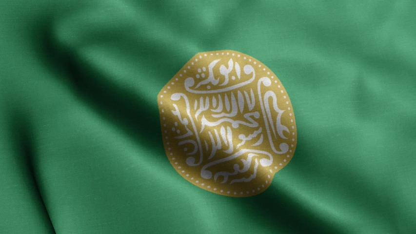 Rohingya Flag Stock Video Footage - 4K and HD Video Clips | Shutterstock