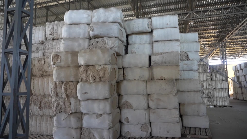 102 Cotton bundle Stock Video Footage - 4K and HD Video Clips ...