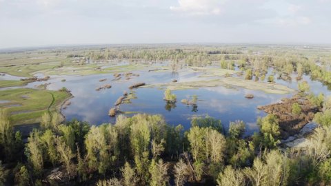 Spring Overflow Landscape Trees Bush Impounded Stock Footage Video (100 ...