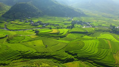 Aerial Top View Paddy Rice Terraces Stock Footage Video (100% Royalty ...