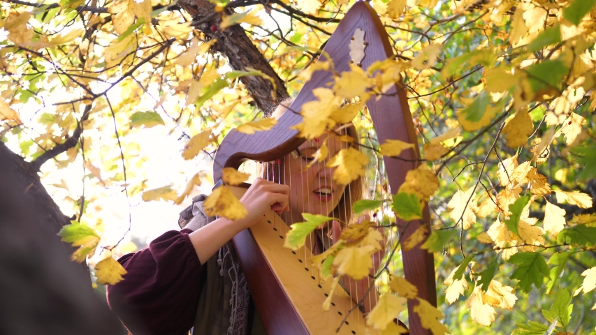 Music Notes Tree Stock Video Footage - 4K and HD Video Clips | Shutterstock