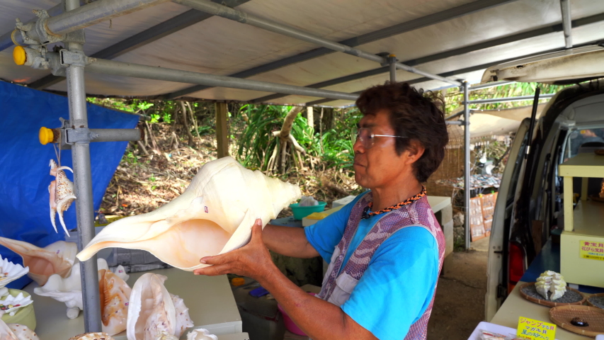 Japanese conch shell Stock Video Footage - 4K and HD Video Clips ...