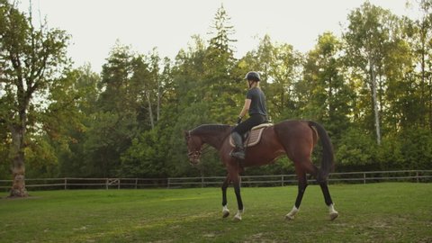 Professional Horseback Riding Horse Club Stock Footage Video (100% ...