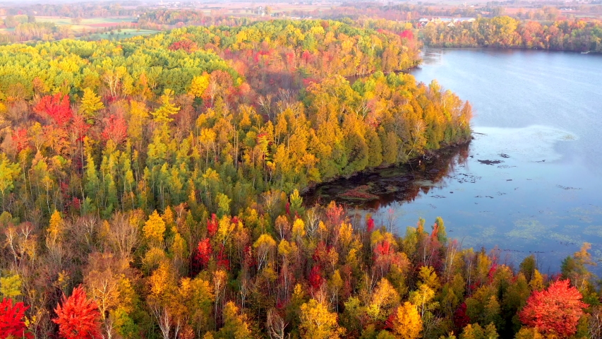 View of the trees and autumn forest in Wisconsin image - Free stock ...