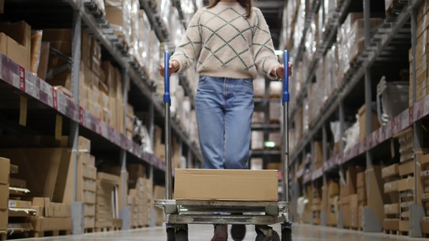 beautiful modern woman carrying trolley box Stock Footage Video (100% ...