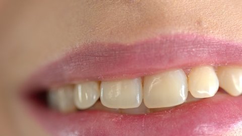 Full Removable Plastic Denture Jaws Set Stock Photo (Edit Now) 1881866563