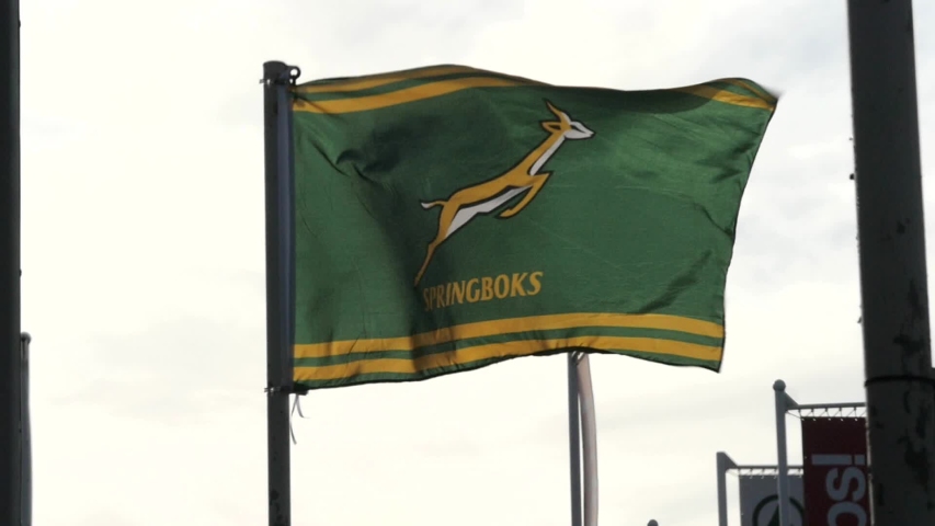 4 Springbok Logos Stock Video Footage - 4K and HD Video Clips ...