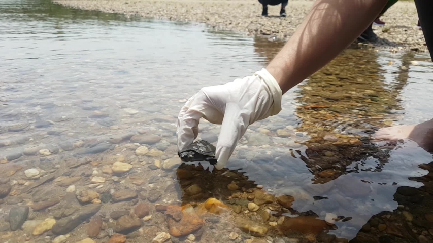 magdalena river turtle rio podocnemis lewyana Stock Footage Video (100% ...