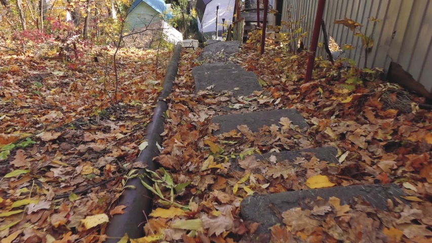 Downward path on the Autumn Trail image - Free stock photo - Public ...