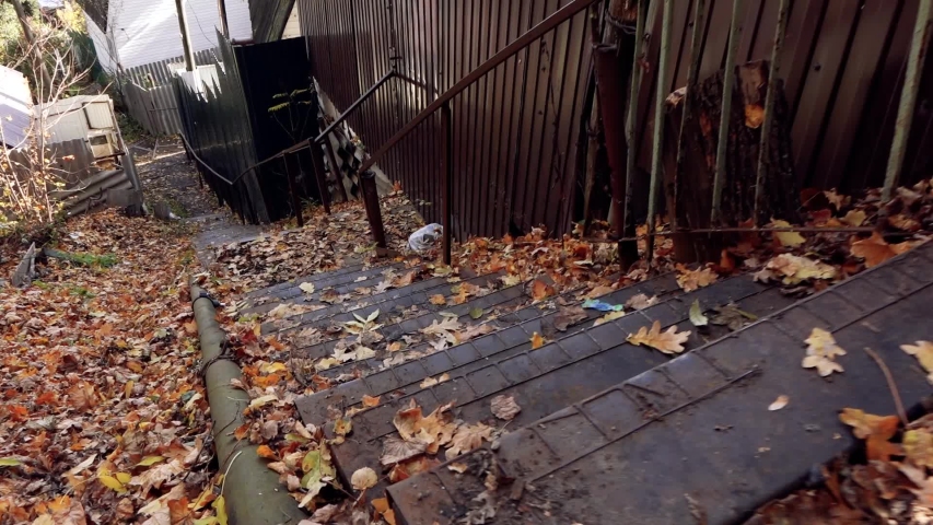 Downward path on the Autumn Trail image - Free stock photo - Public ...