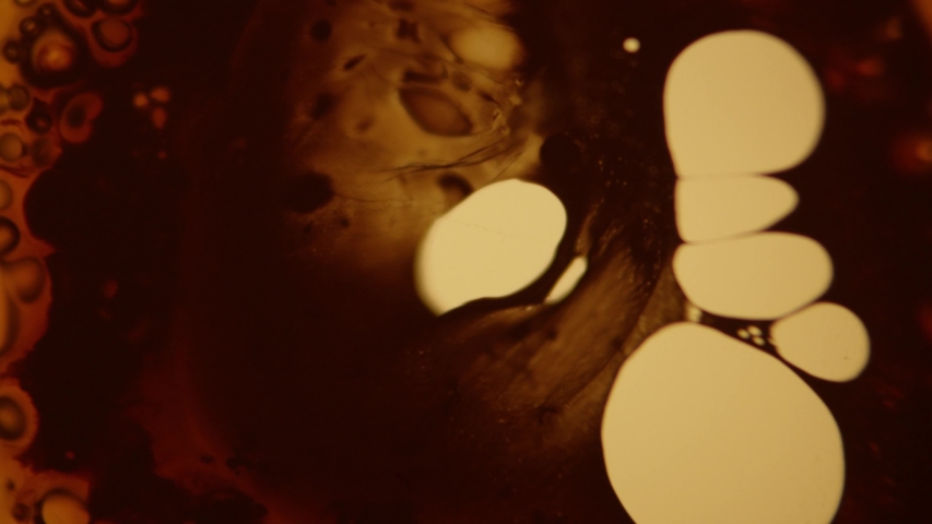 Old Film Strip Burn with Stock Footage Video (100% Royalty-free ...