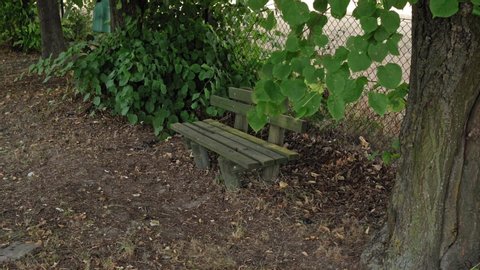 Old Destroyed Abandoned Wooden Bench Among Stock Footage Video (100% ...