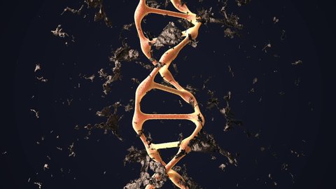 Dna Regeneration Slow Motion Animation Dna Stock Footage Video (100% ...