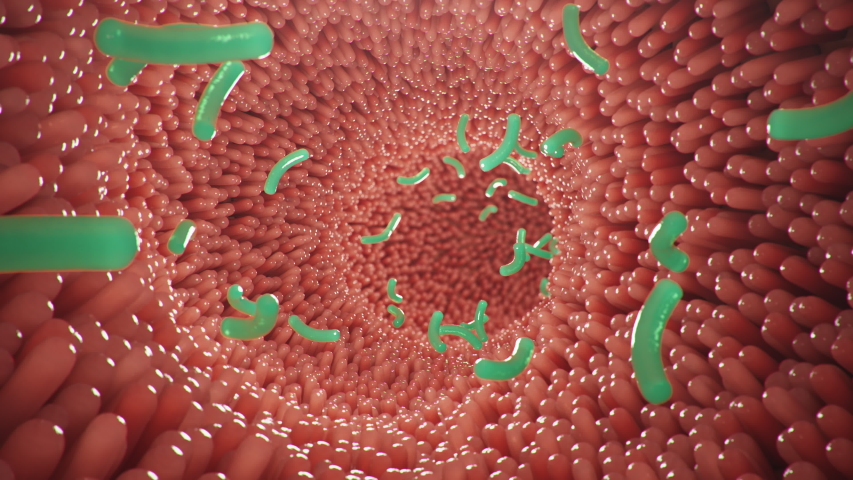 Intestine microscopy Stock Video Footage - 4K and HD Video Clips ...