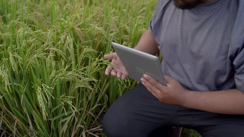 Modern Farmer Using Smart Technology Gadget Stock Footage Video (100% ...