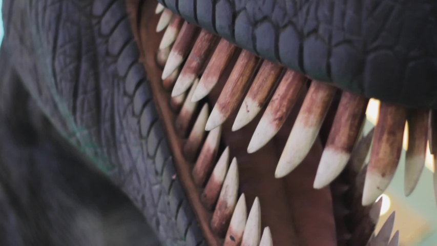 tyrannosaurus mouth t-rex huge dinosaur cretaceous: video de stock ...