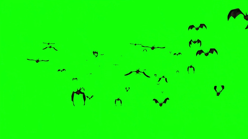 flying bats motion graphics green screen Stock Footage Video (100% ...