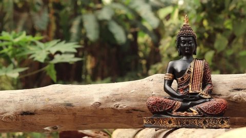 Close View Buddha Statue Moving Stock Footage Video (100% Royalty-free ...