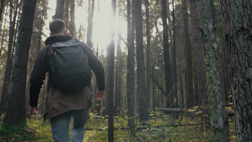 young man walking through tall trees Stock Footage Video (100% Royalty ...