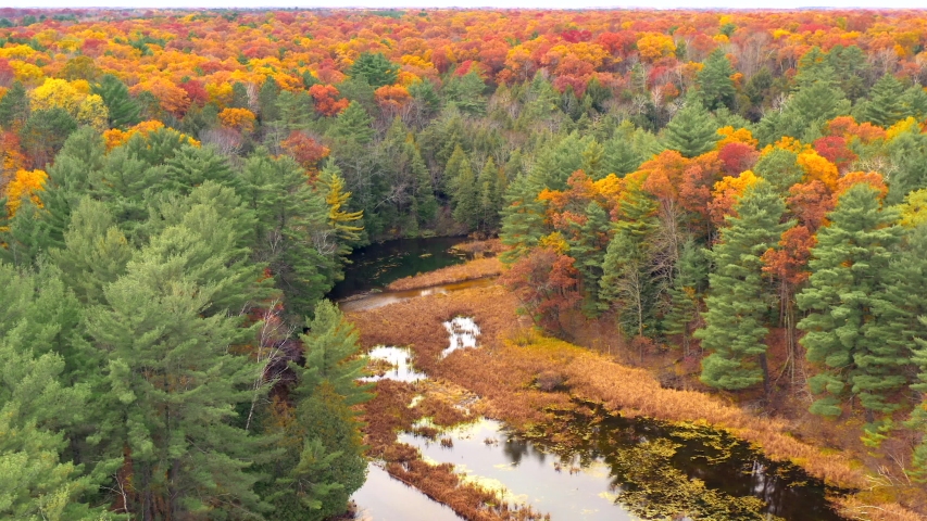 Northern Wisconsins Exceptionally Colorful, Breathtaking Stock Footage ...