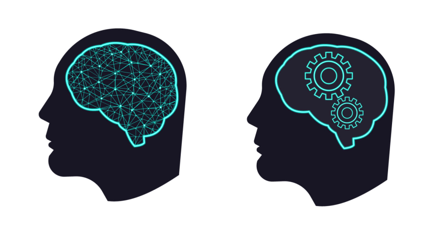 animation human intelligence brain video alpha Stock Footage Video (100 ...