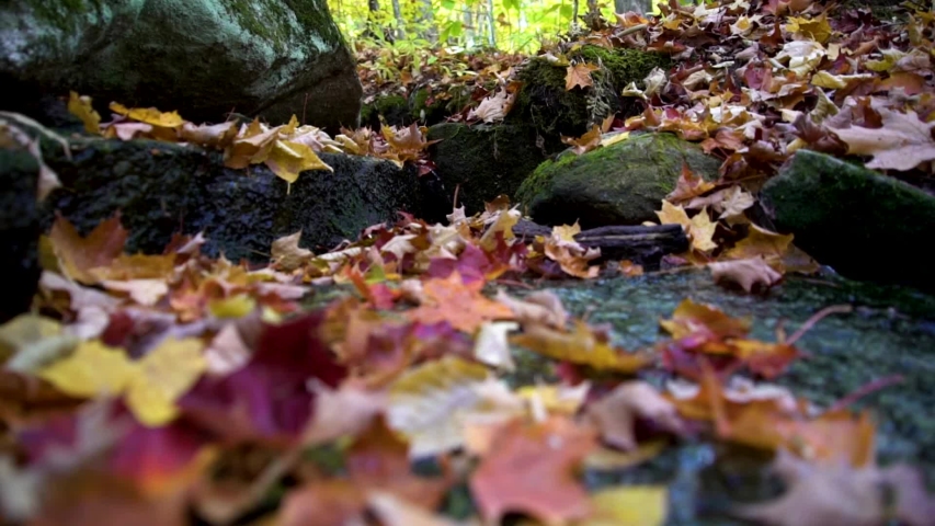 Water and autumn landscape in Vermont image - Free stock photo - Public ...