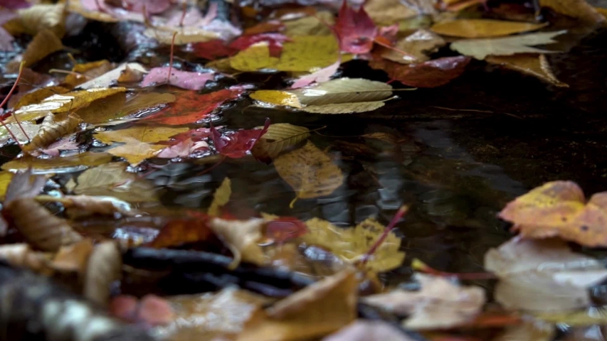 Water and autumn landscape in Vermont image - Free stock photo - Public ...